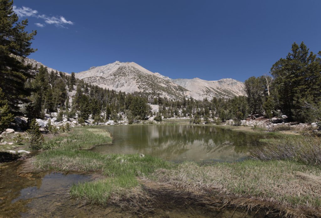 Forrester Pass – Haubergs.com