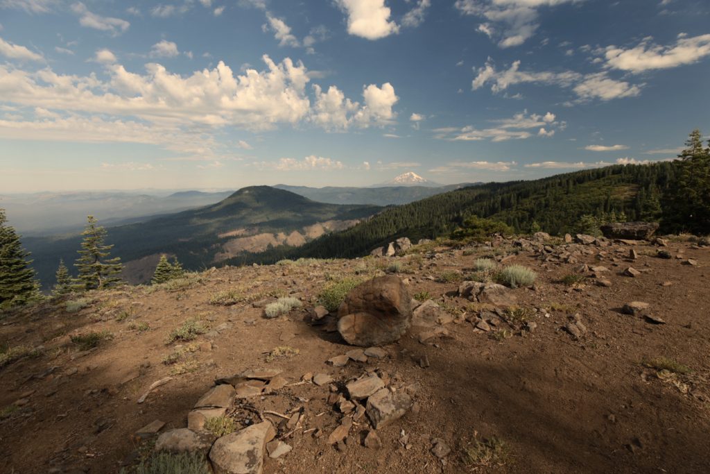 NorCal Blues and a hot day – Haubergs.com